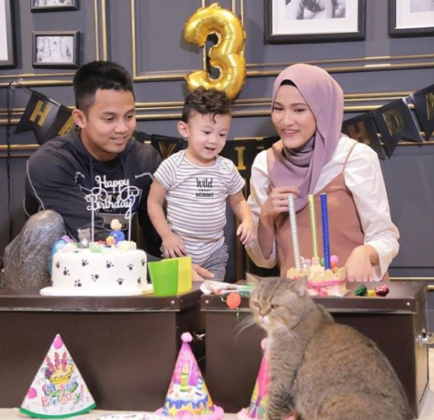 [VIDEO] “Astaga Jibu Hang Kucing Sedar Lah Hakikat”- Lebih 300K ...