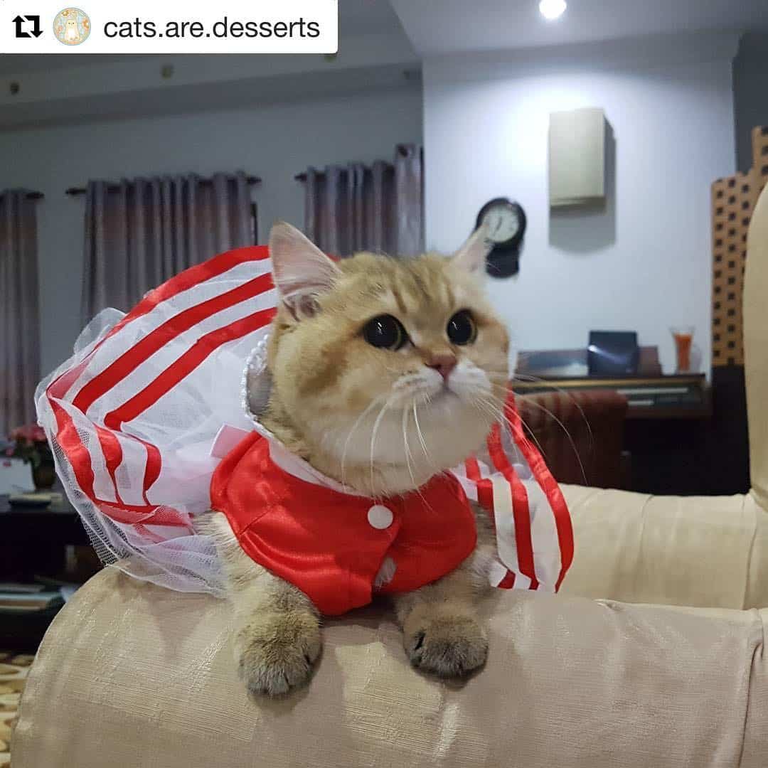 Bujibu Jumpa Balik 'Jandanya' Lepas 6 Tahun Berpisah, Drama Syahdu ...