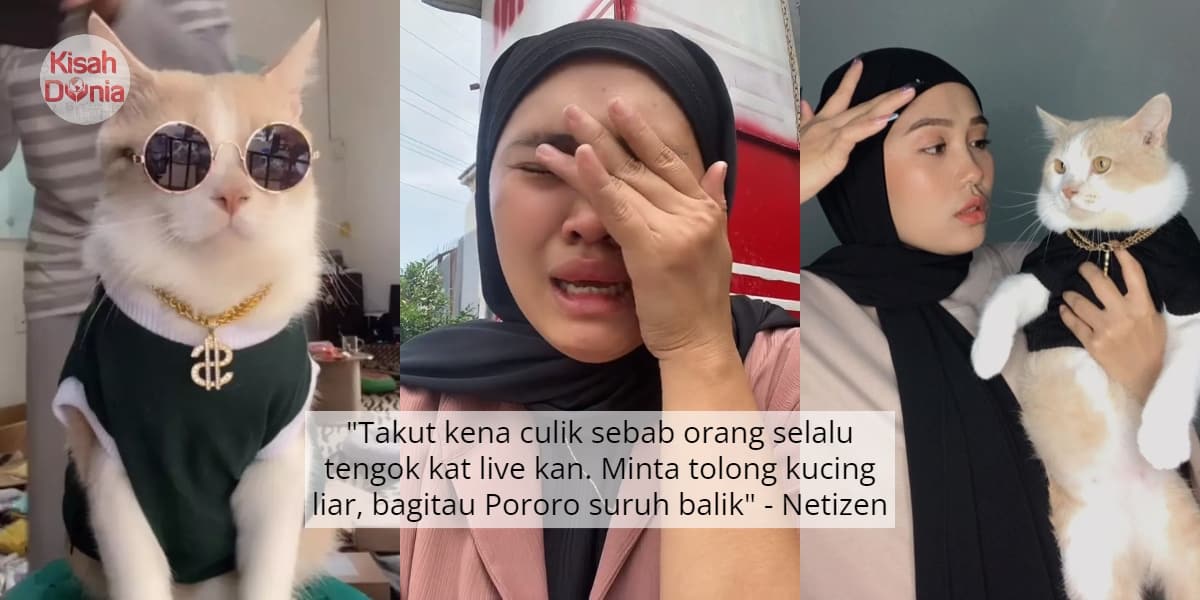 [VIDEO] Owner Menangis Panik, ‘Kucing Rosak’ Viral TikTok Tiba-Tiba ...