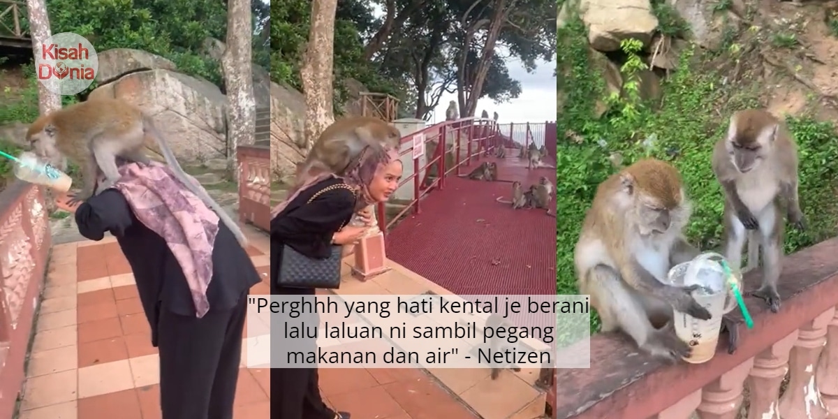 Hanya Tersenyum Meskipun Didakap Monyet, Gadis Tenang Berdepan Situasi ...